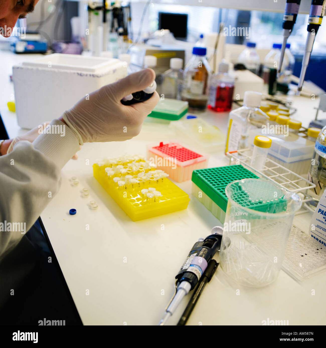 Laboratory work clinical trials research testing. No release required ...