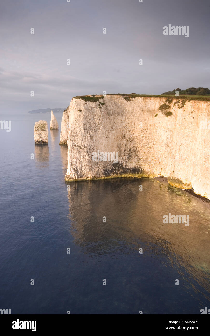 Old Harrys Rock, Purbeck, Dorset, England, UK Stock Photo - Alamy