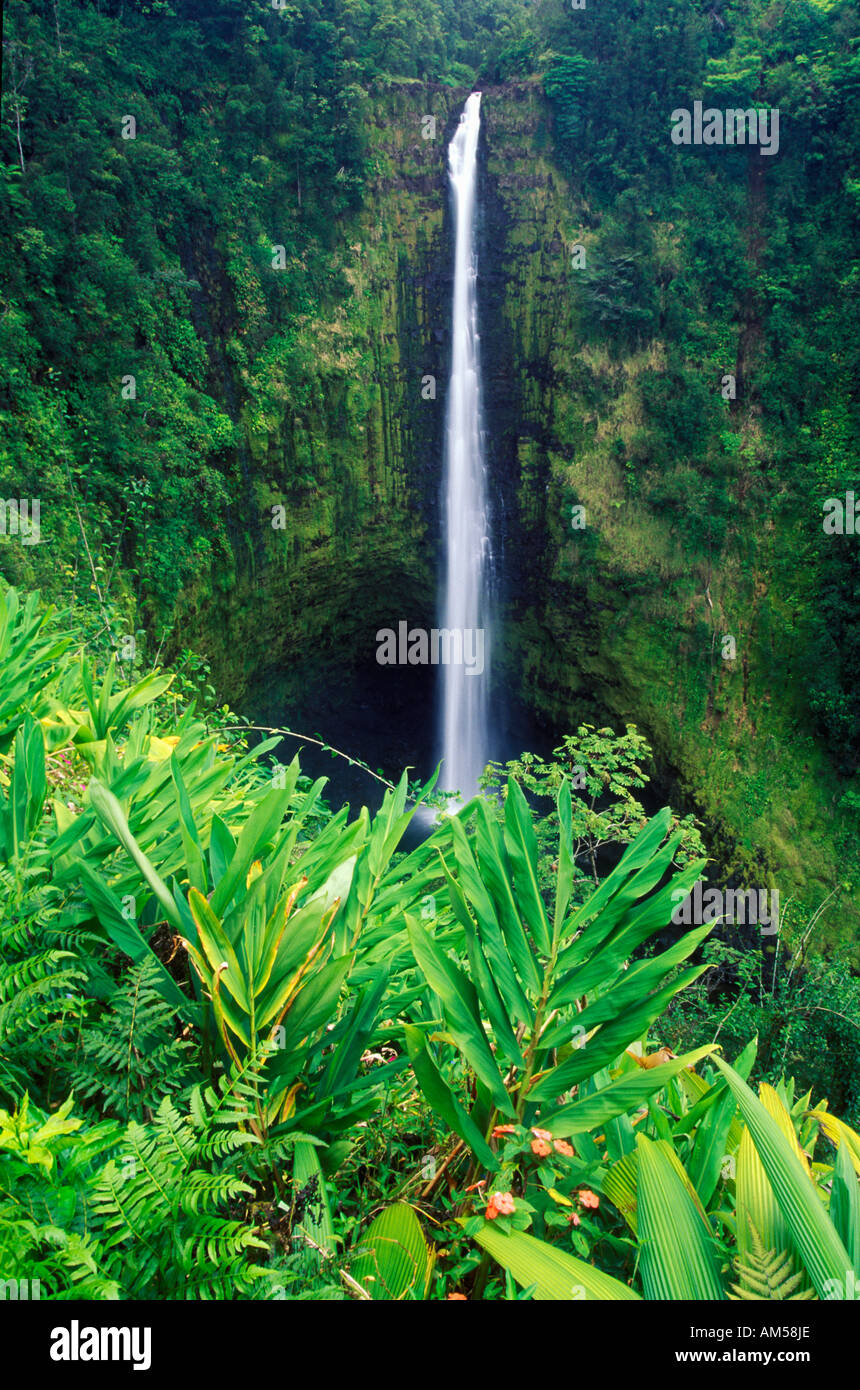 Waterfall in Akaka Falls State Park Hawaii Stock Photo - Alamy