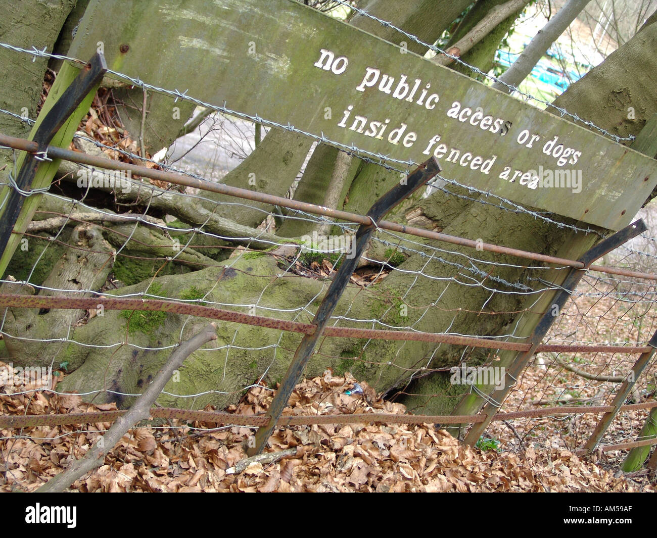 Sign woods forest wales uk hi-res stock photography and images - Alamy