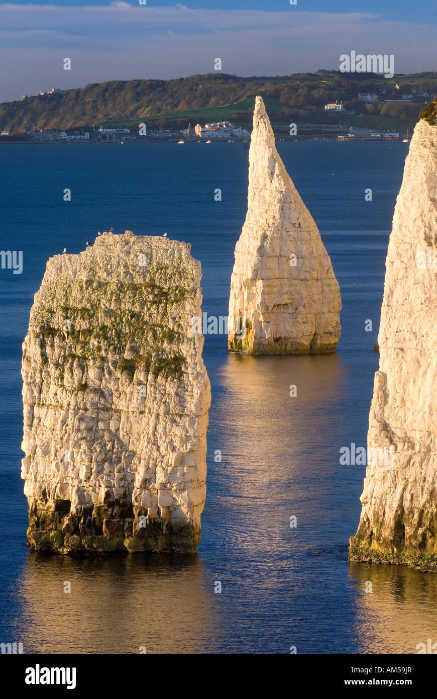 Old Harrys Rock, Purbeck, Dorset, England, UK Stock Photo - Alamy