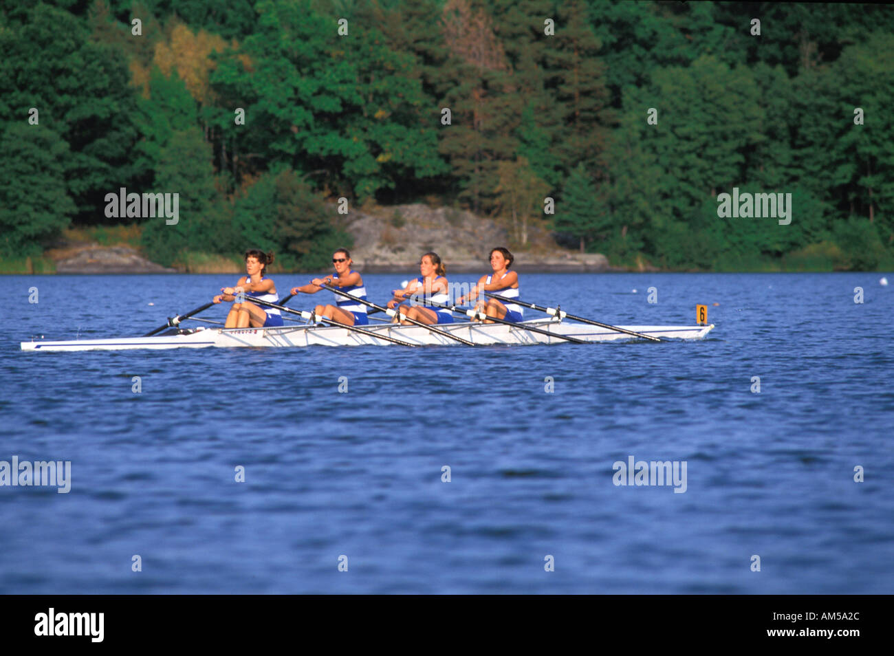 TEAMWORK COOPERATION STOCKHOLM ROWING CLUB Stock Photo - Alamy