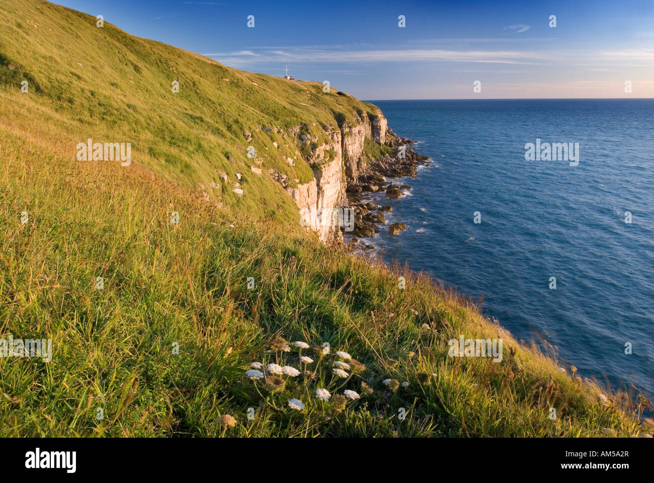 West Cliffs of Portland, Dorset, England, UK, Europe Stock Photo - Alamy