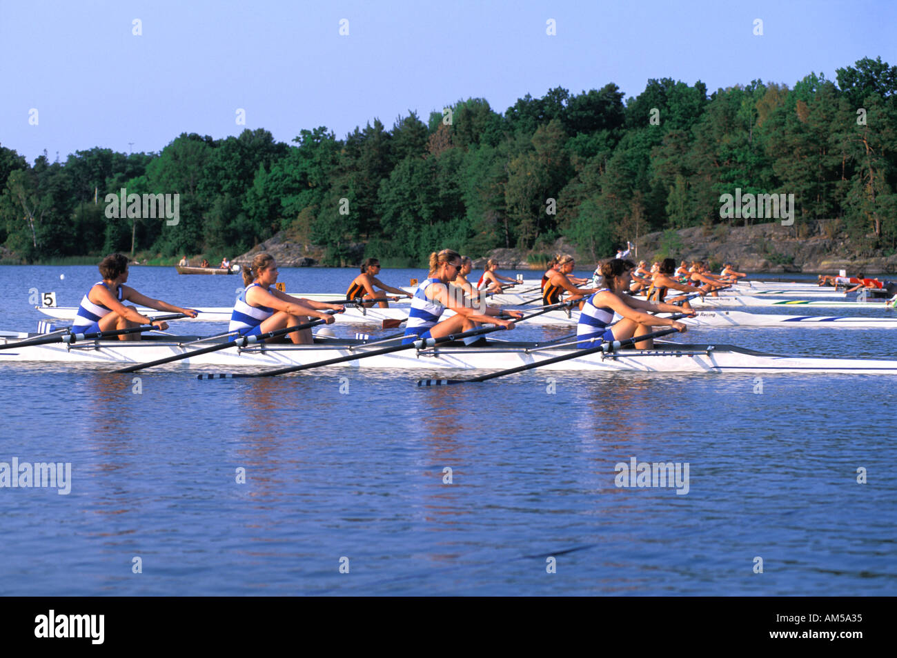 TEAMWORK COOPERATION ROWING COMPETITION FARSTA STRAND Stock Photo - Alamy