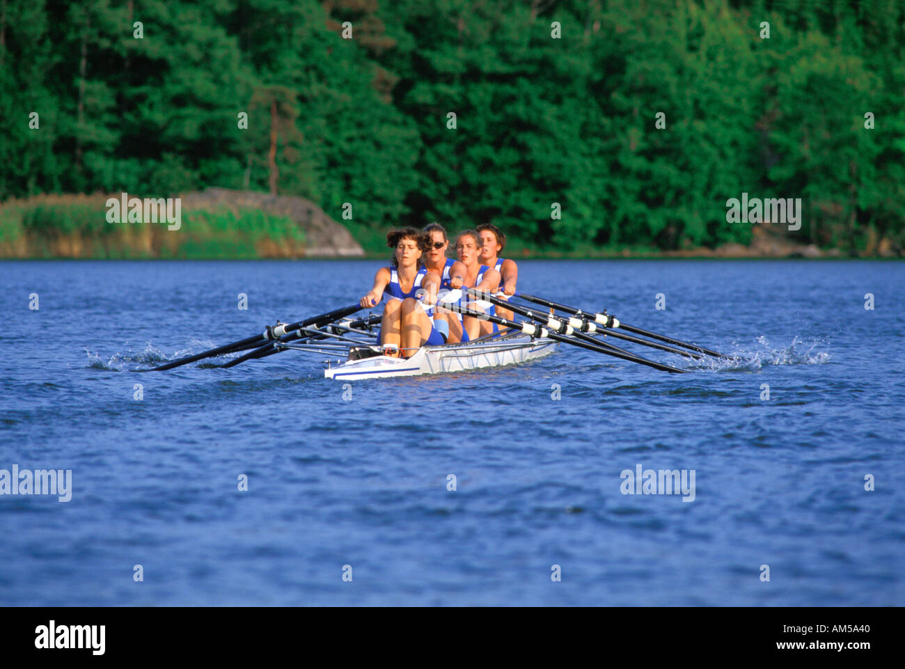 TEAMWORK COOPERATION STOCKHOLM ROWING CLUB Stock Photo - Alamy