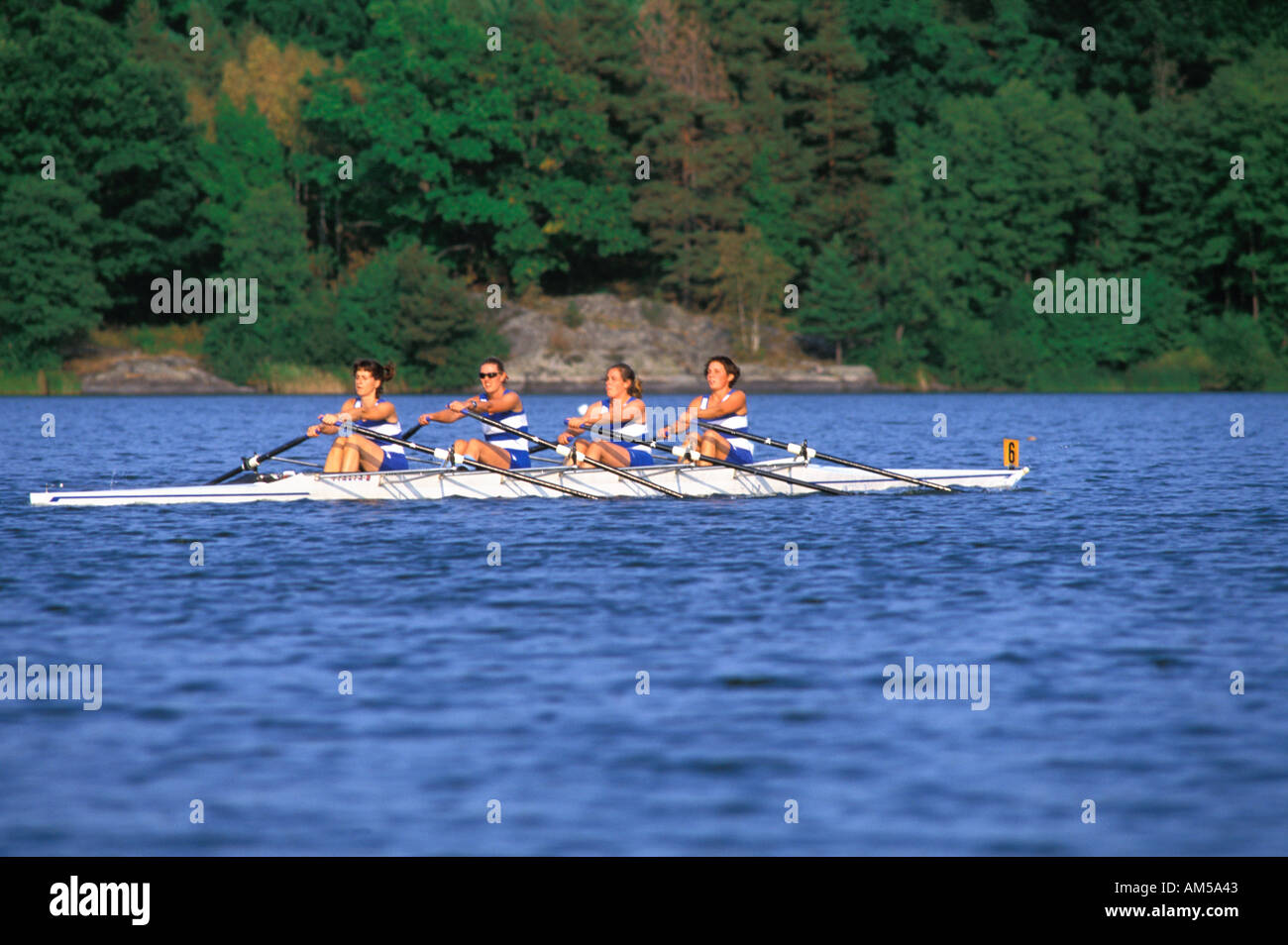 TEAMWORK COOPERATION STOCKHOLM ROWING CLUB Stock Photo - Alamy