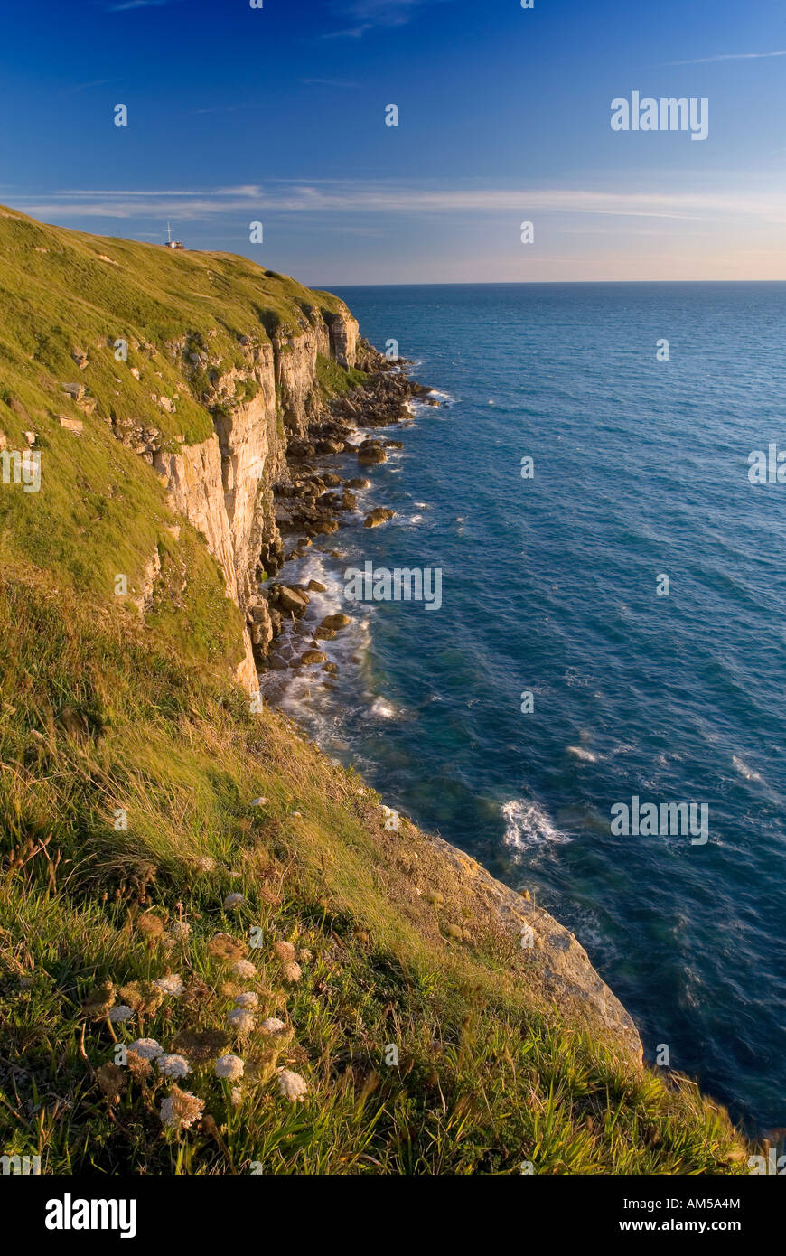 West Cliffs of Portland, Dorset, England, UK, Europe Stock Photo - Alamy