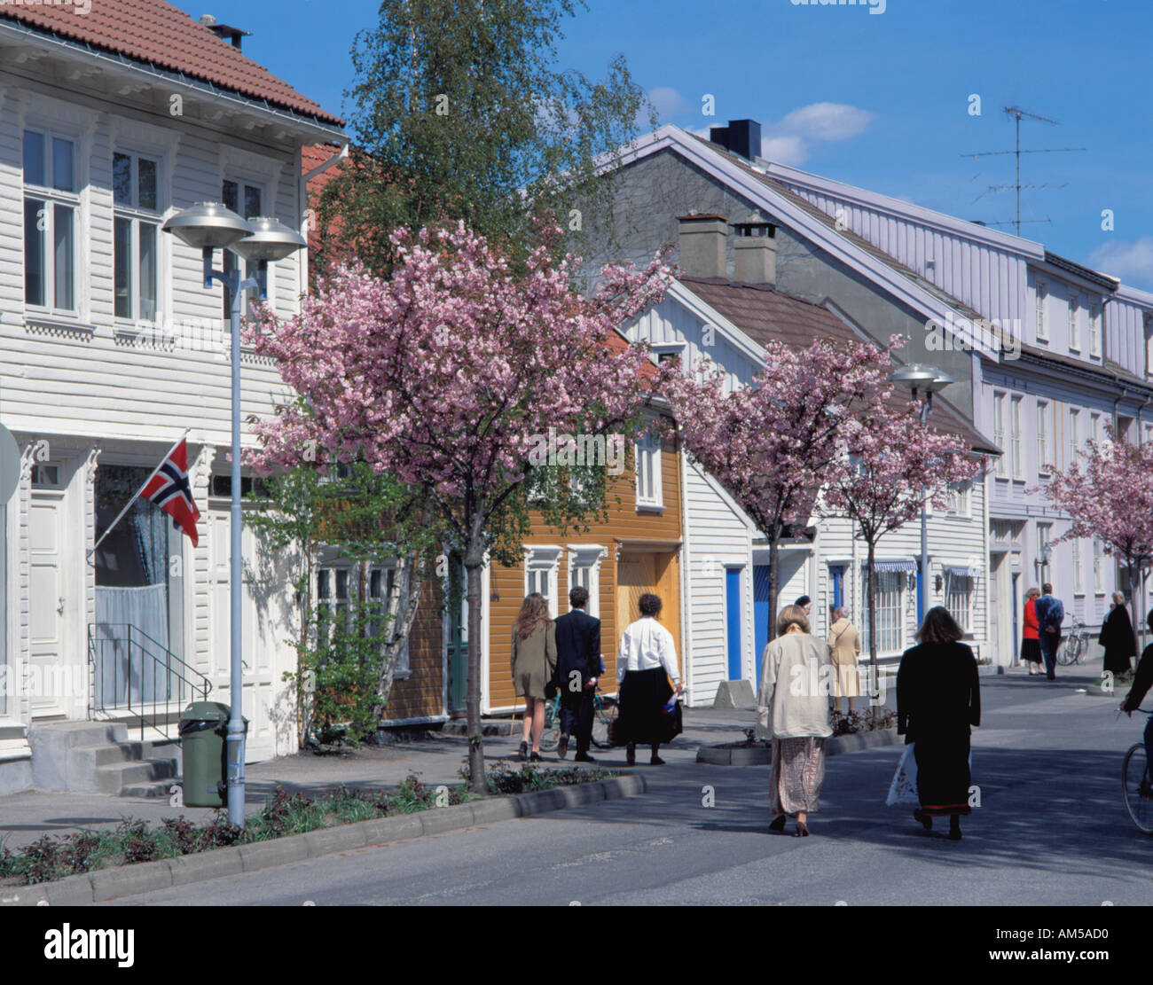 Springtime street scene with timber houses and cherry blossom ...