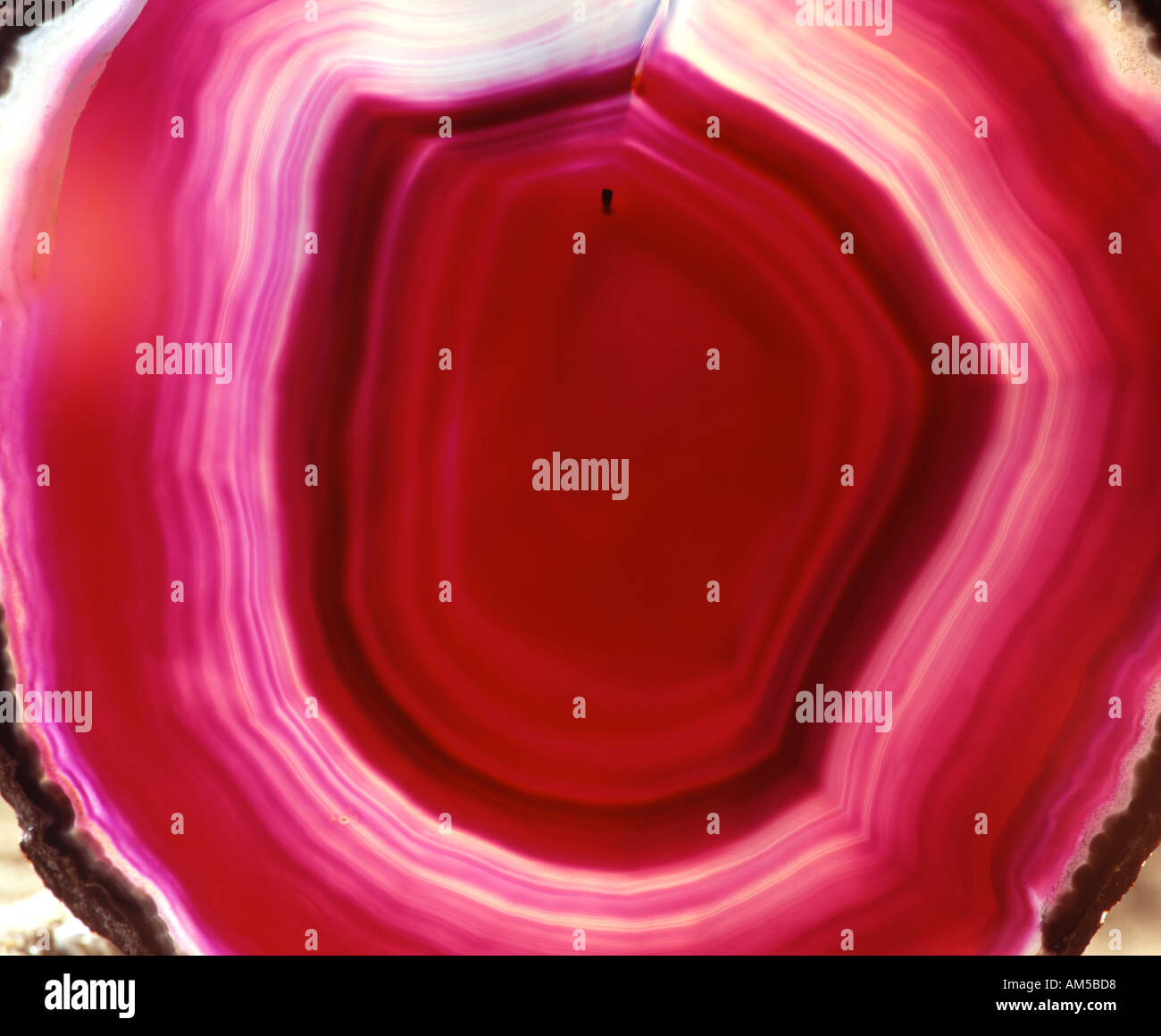 Rosa struktur hi-res stock photography and images - Alamy