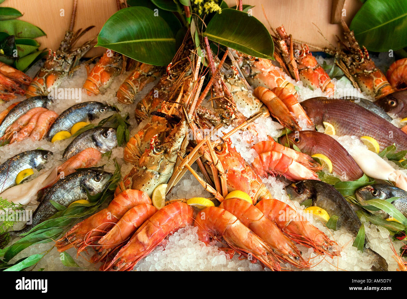 Seafood and fish on ice Stock Photo - Alamy