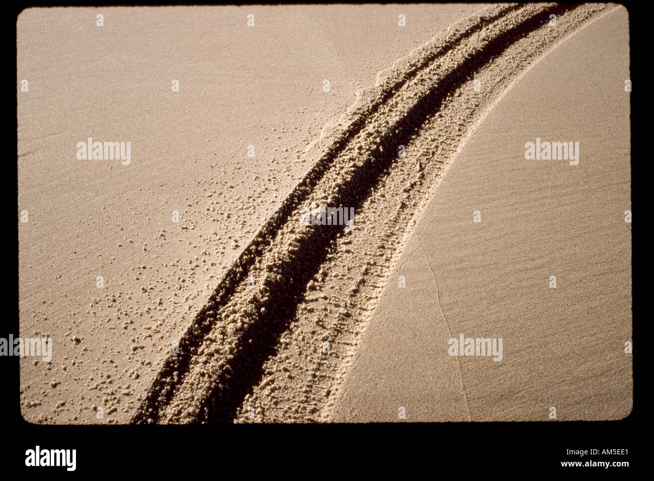 Tracks on Beach Stock Photo - Alamy