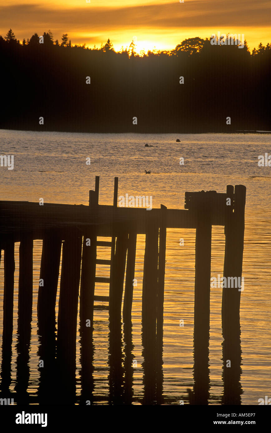 Sunrise over dock in Mount Desert Island ME Stock Photo - Alamy