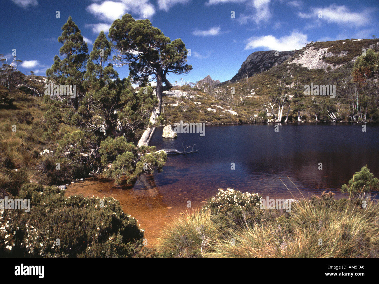 Wombat Pool at Cradle Mountain National Park, Tasmania, Australia Stock ...