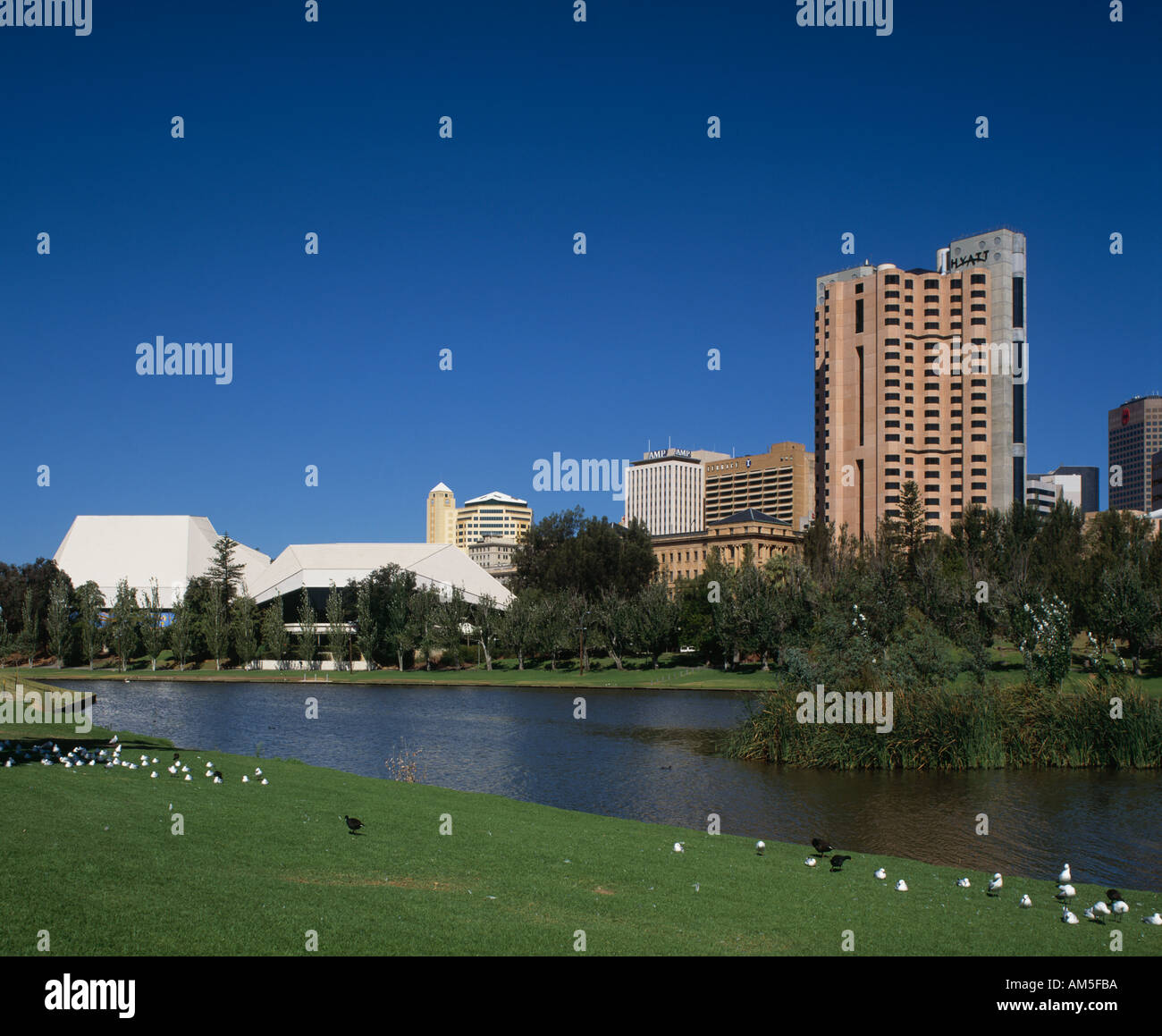 Adelaide city office buildings hi-res stock photography and images - Alamy