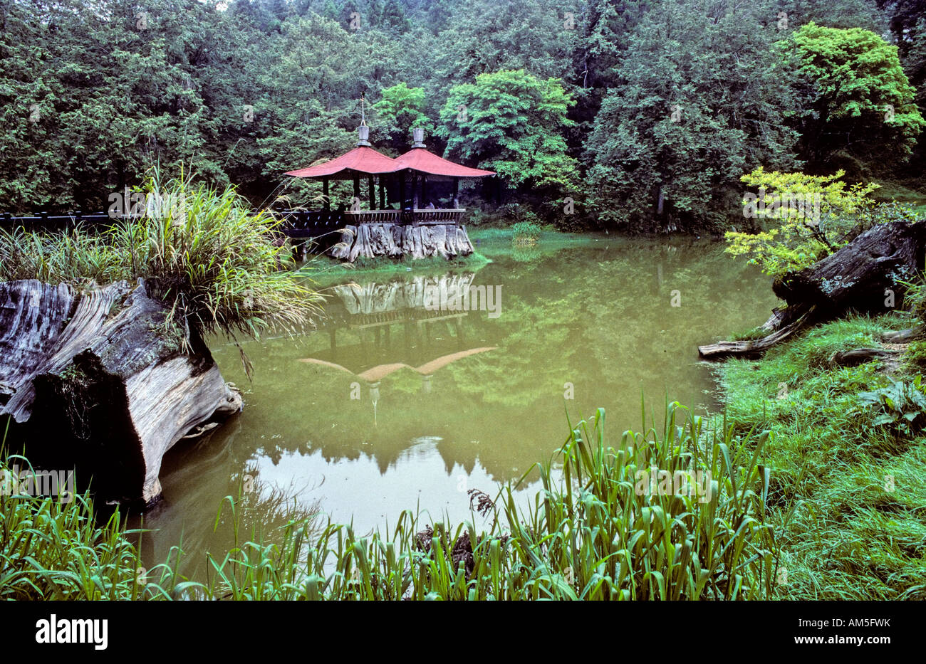 Alishan national park hi-res stock photography and images - Alamy
