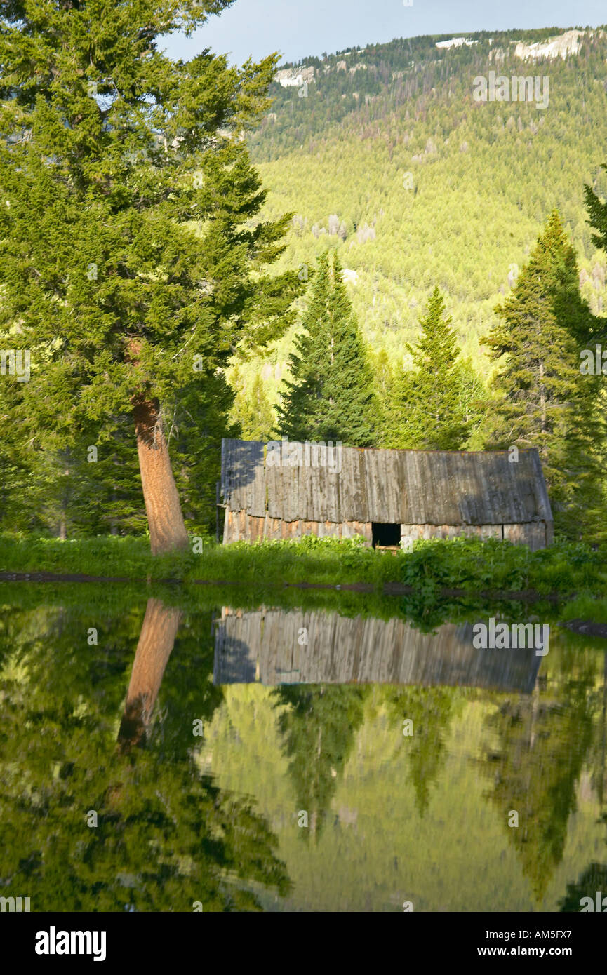 Old barn with reflection of large tree in pond at Taft Ranch Centennial ...
