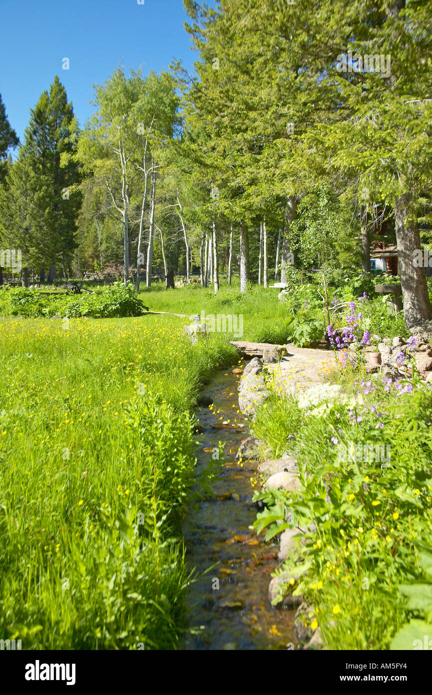 Centennial valley homestead hi-res stock photography and images - Alamy