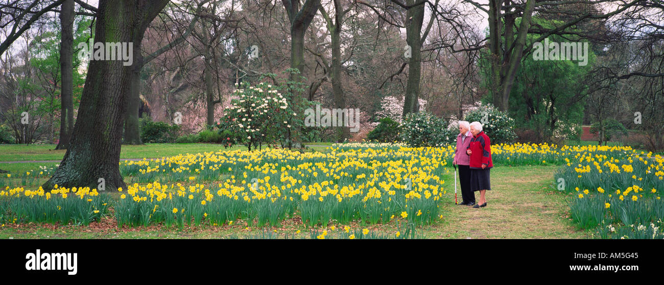 Elderly friends enjoy the spring flowers Stock Photo - Alamy