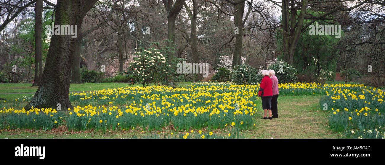 Christchurch Hagley Park Spring Stock Photos & Christchurch Hagley Park ...