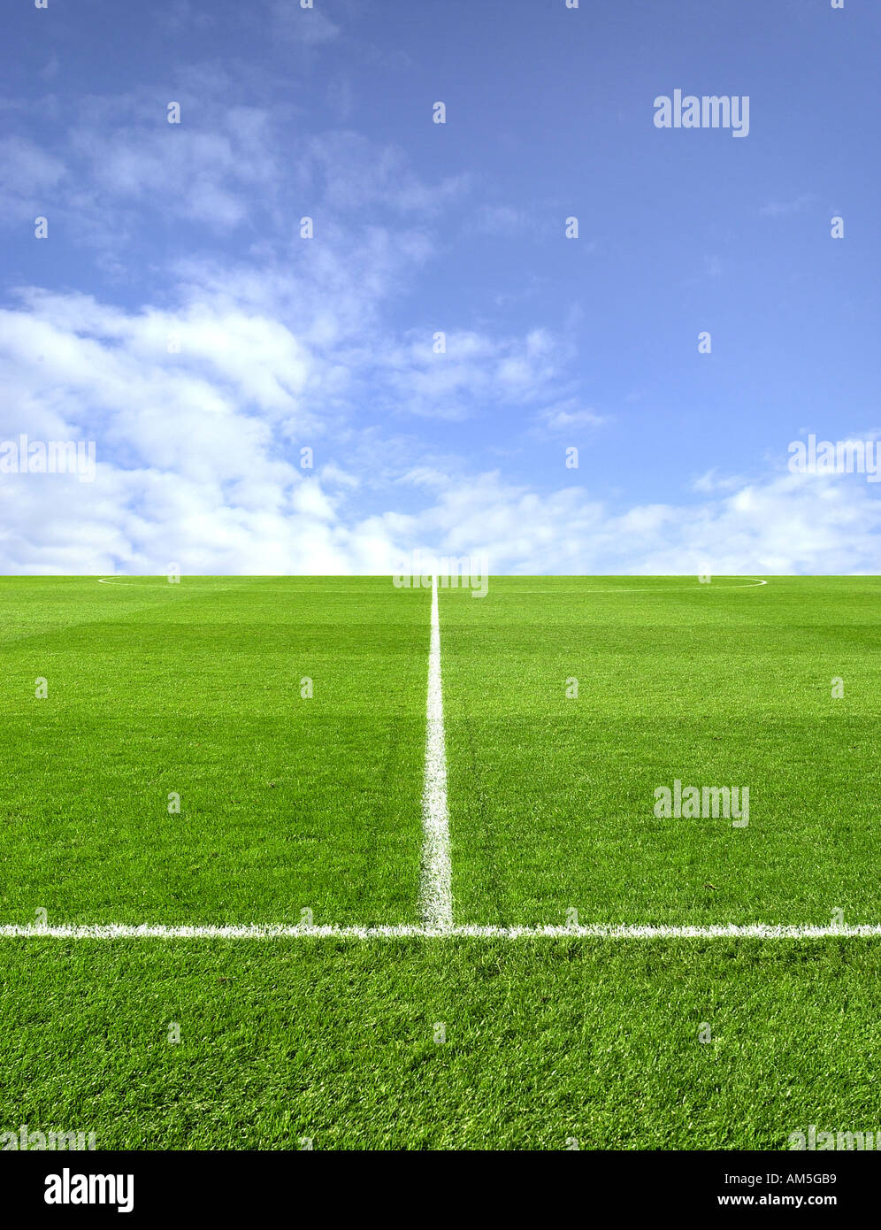 Football pitch grass hi-res stock photography and images - Alamy
