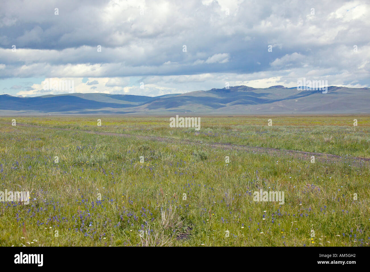 Spring grasslands and mountains in Centennial Valley near Lakeview MT ...