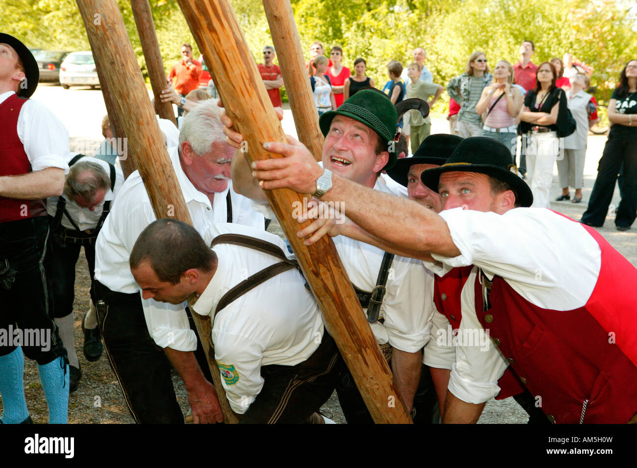 Setting up of the maypole, Graming, Upper Bavaria, Bavaria, Germany ...