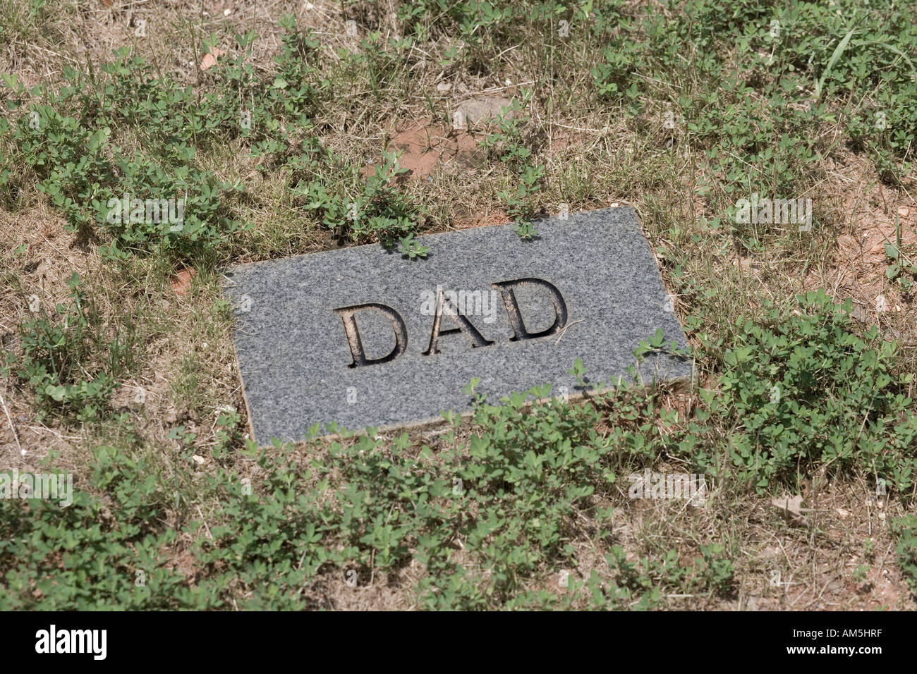 Dead Dad