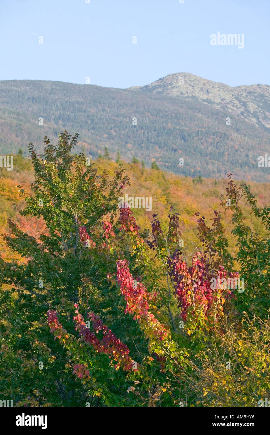 Crawford Notch State Park in the White Mountains New Hampshire Stock ...