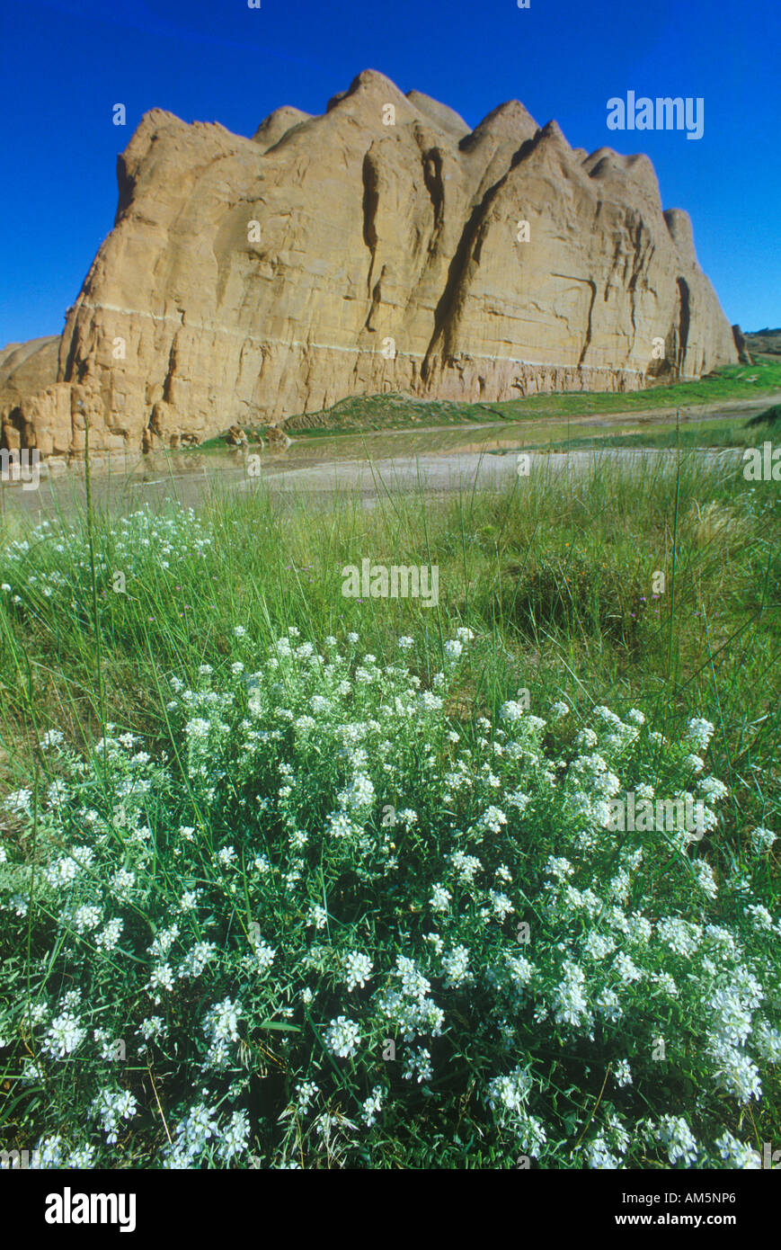 Gallup nm hi-res stock photography and images - Alamy