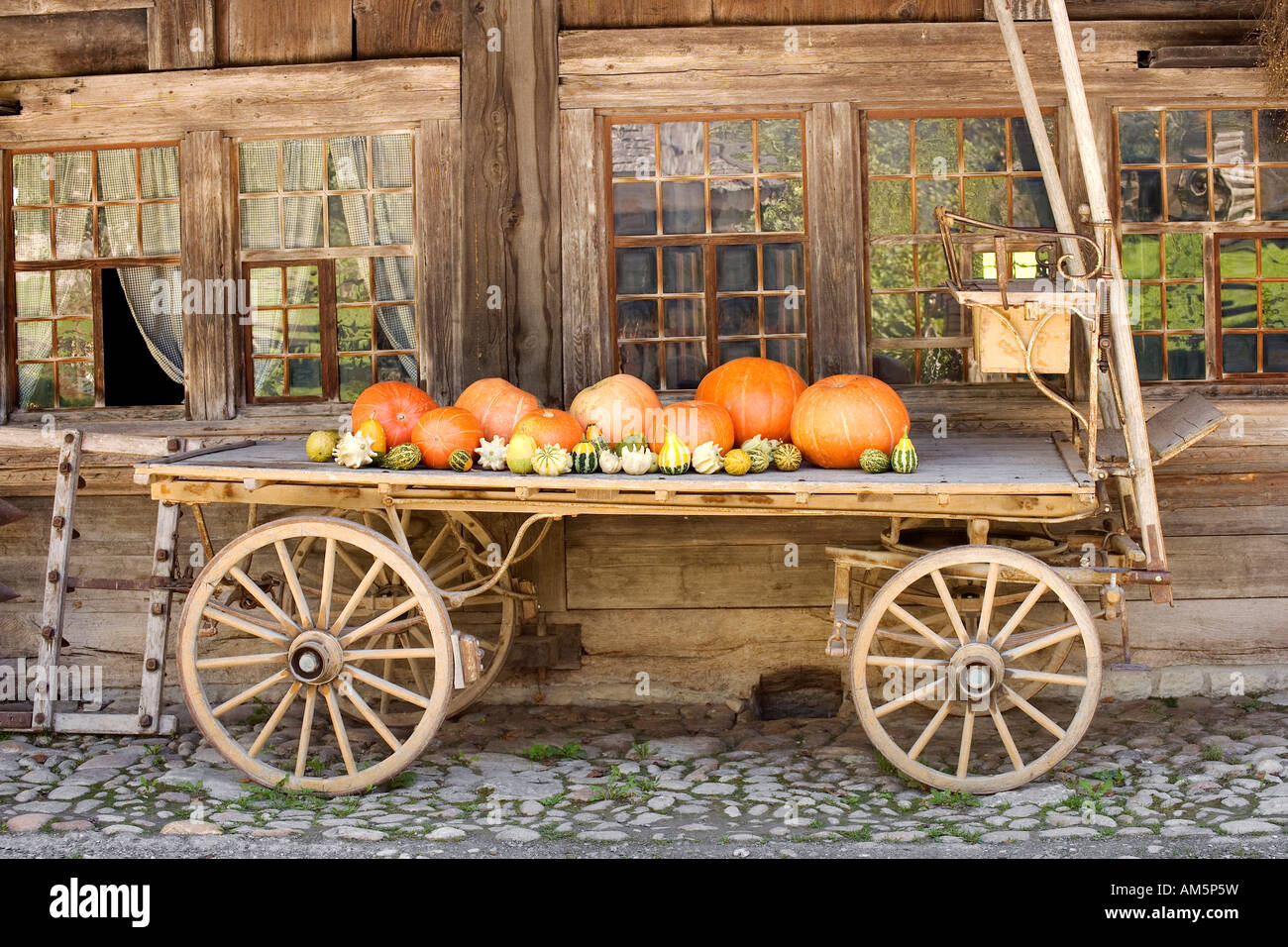 Wooden cart with pumpkins in front of farmhouse, Open-Air-Museum ...