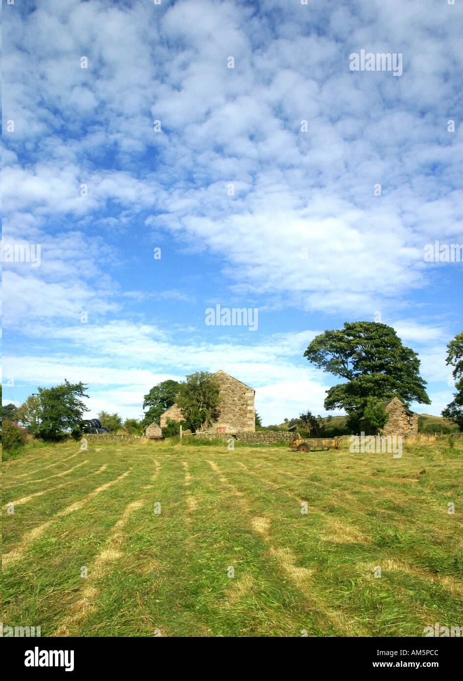 field stripes and blue sky, brund, peak district Stock Photo - Alamy