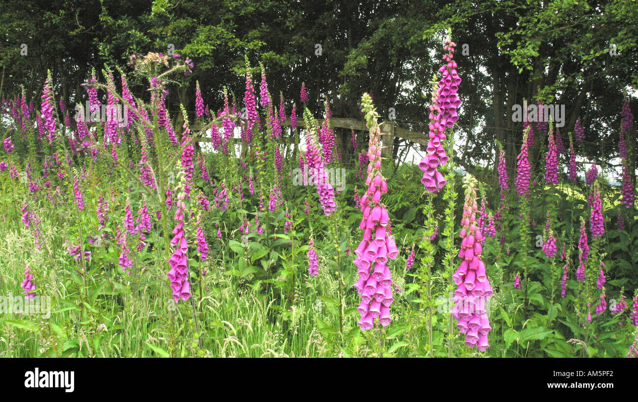 Rushton spencer hi-res stock photography and images - Alamy