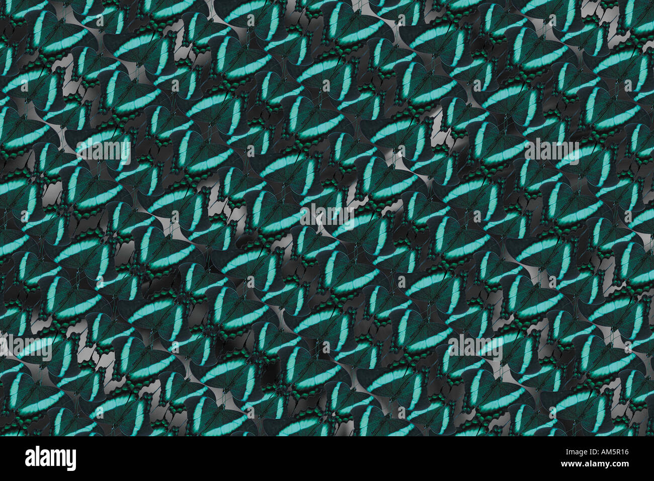 Karo pattern hi-res stock photography and images - Alamy