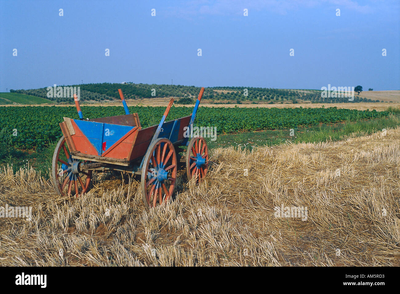 Grain buggy hi-res stock photography and images - Alamy