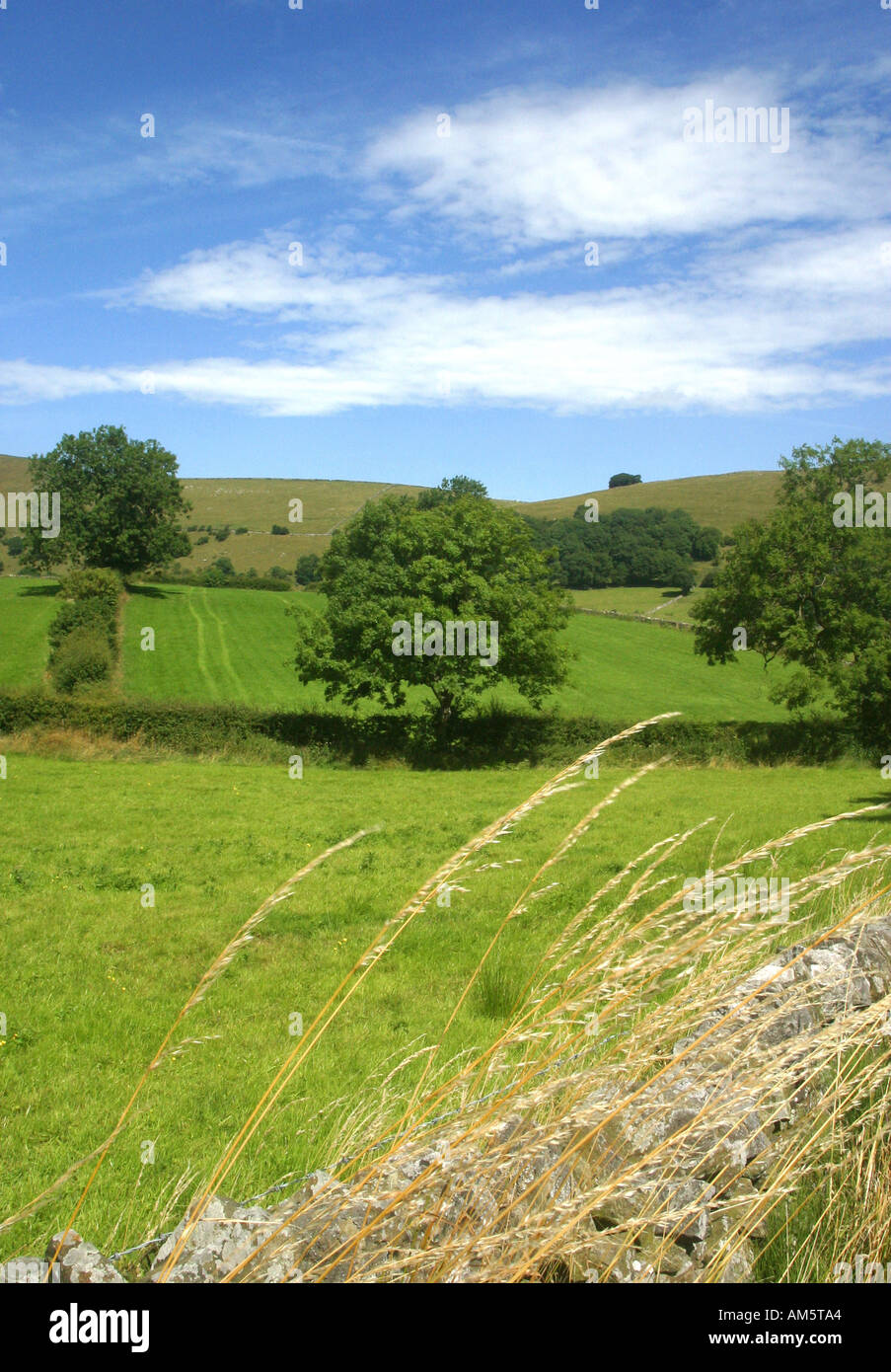 view nr longnor , peak district 3 Stock Photo - Alamy