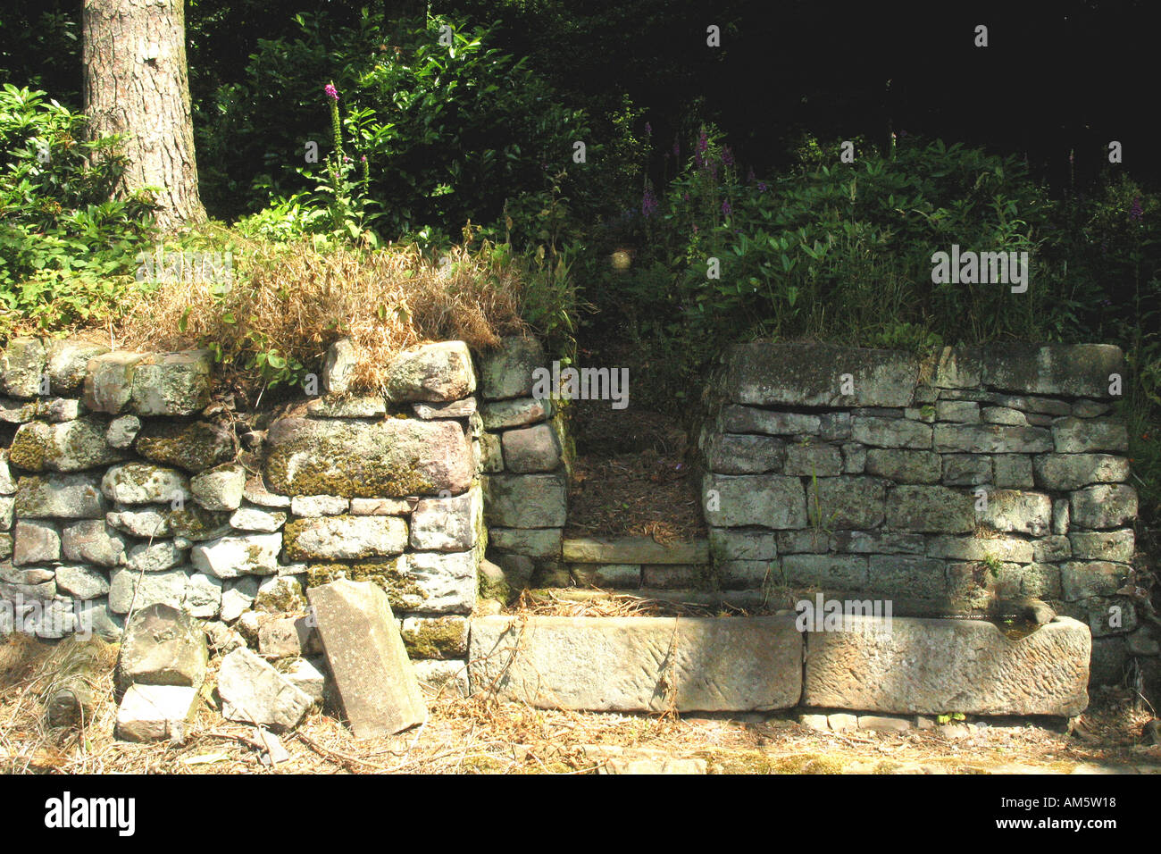 wall trough nr combe valley reserve, staffordshire moorland2 Stock ...