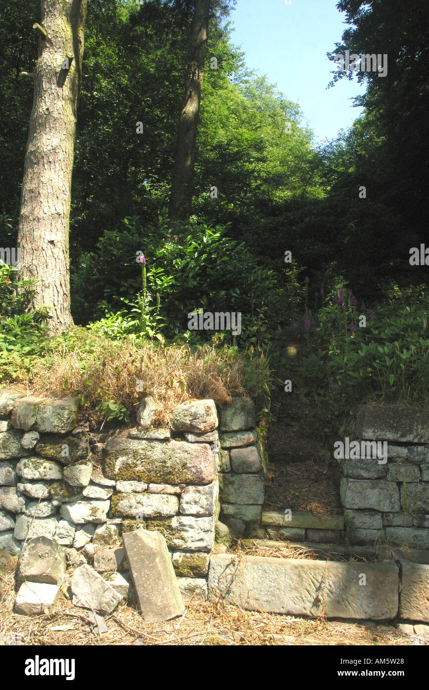 wall trough nr combe valley reserve, staffordshire moorlands Stock ...