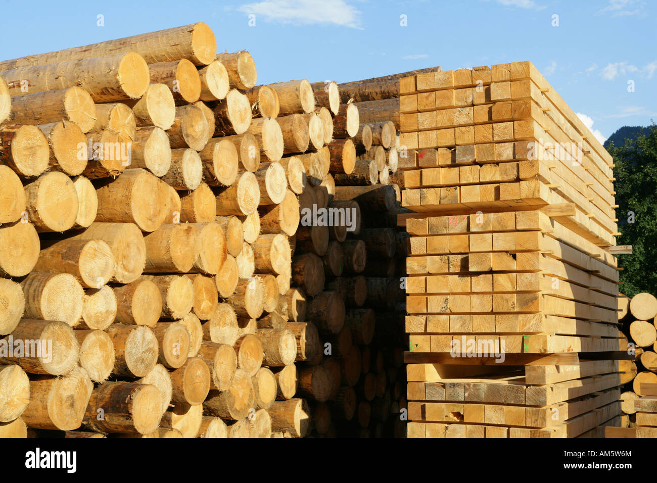Timber beams lumberyard hi-res stock photography and images - Alamy