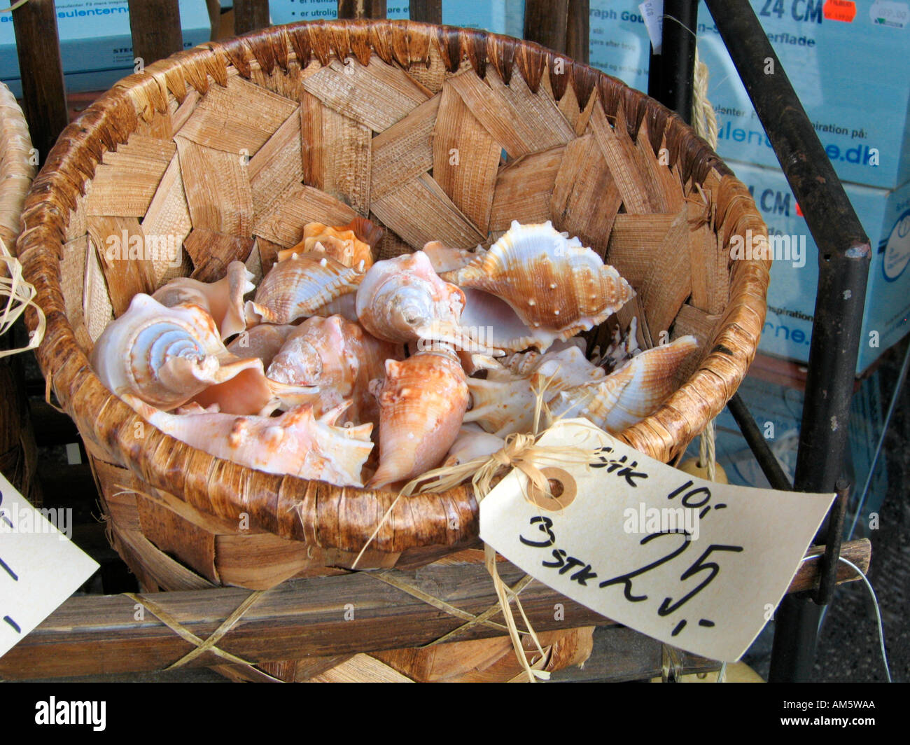 Seashells for sale in a shop on pedestrian street Sct Laurentii Vej in ...