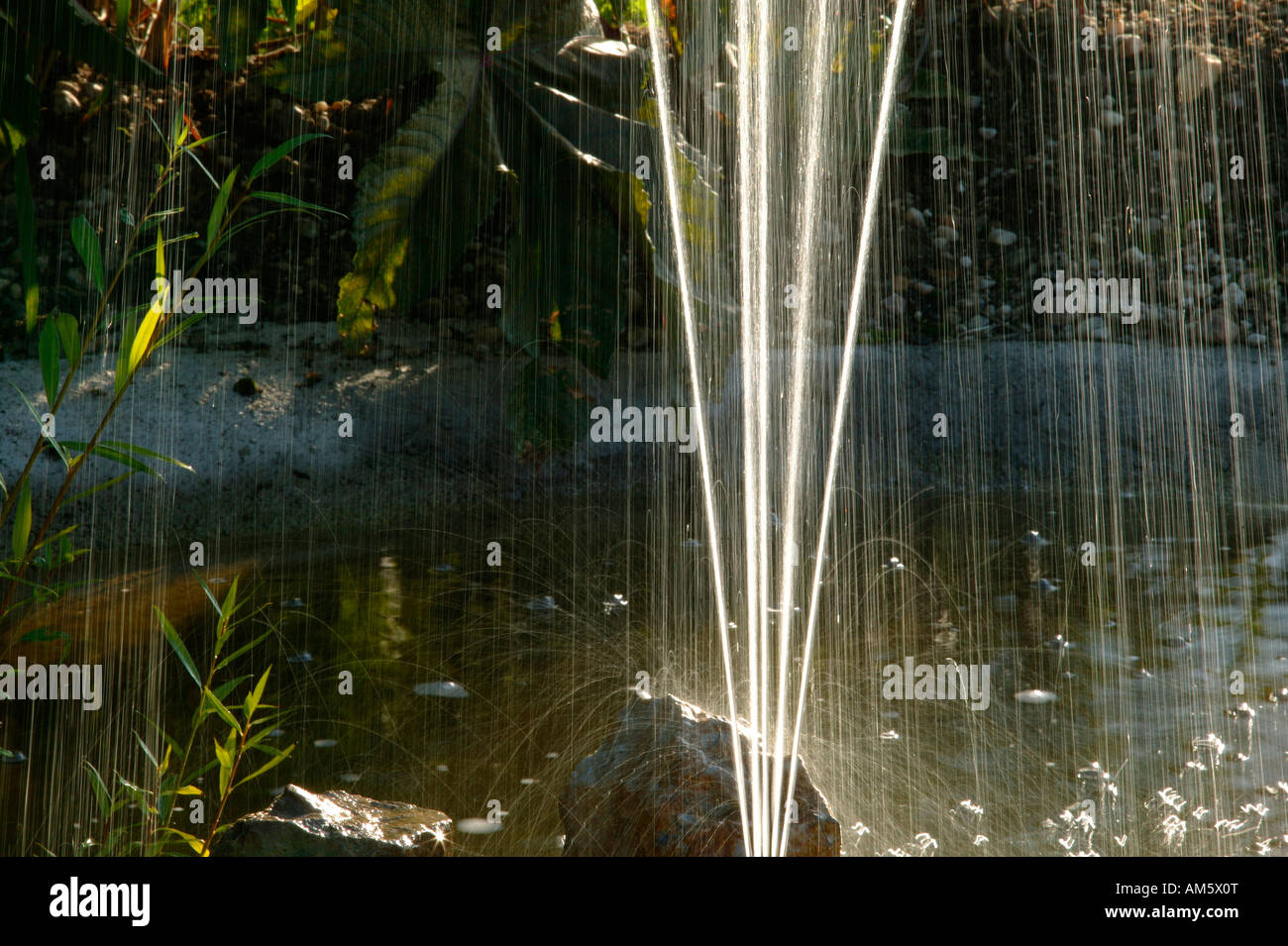 Jet of water of a fountain Stock Photo - Alamy