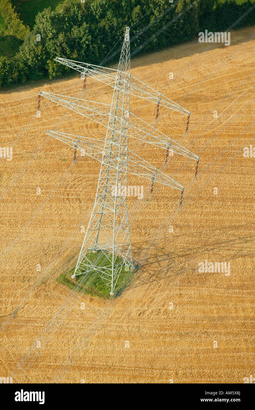 Pylon poles with birds hi-res stock photography and images - Alamy