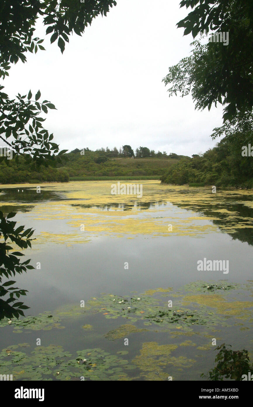 Stackpole warren hi-res stock photography and images - Alamy