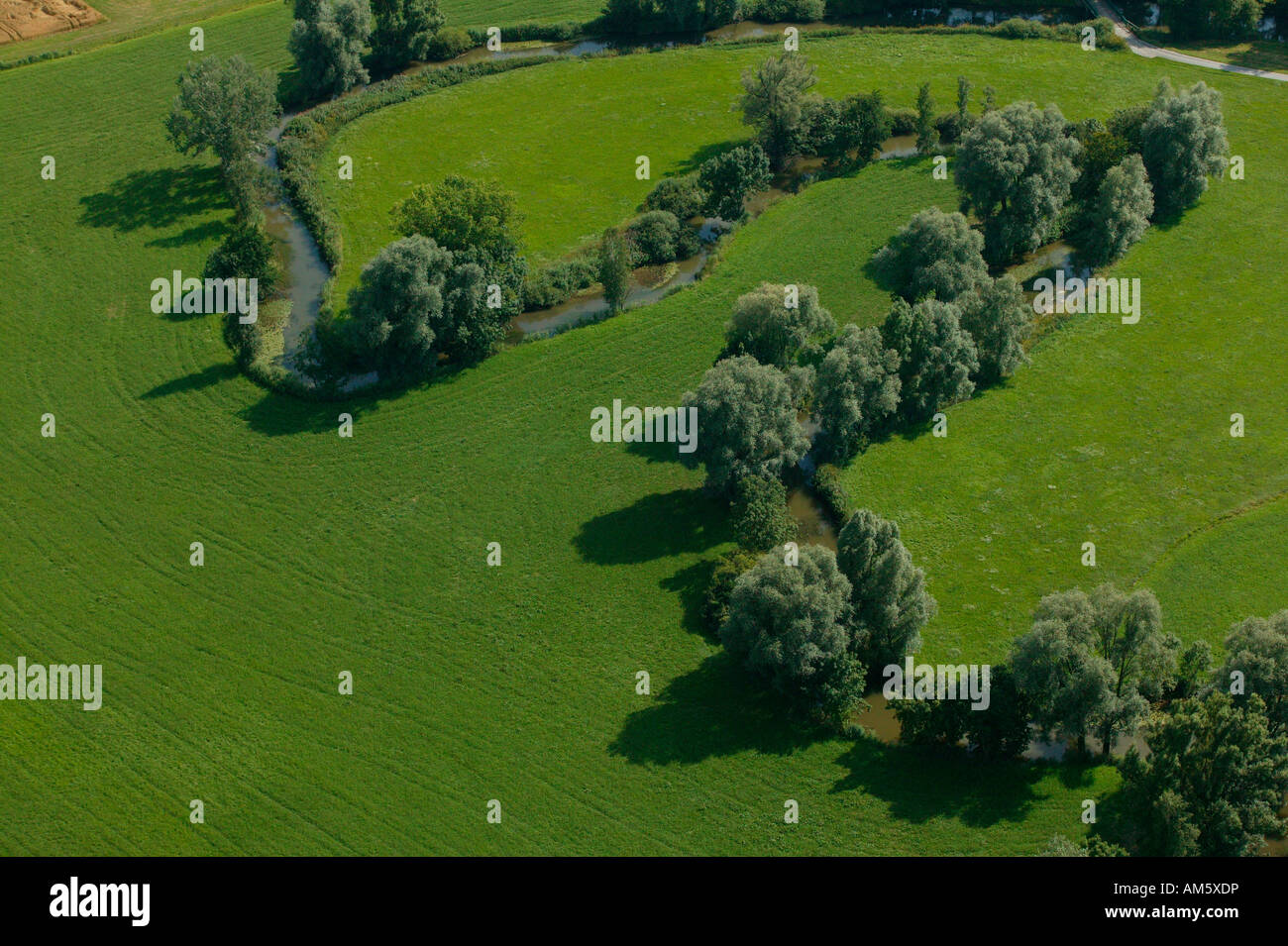 Brook meander, natural course of a brook, Upper Bavaria, Bavaria ...