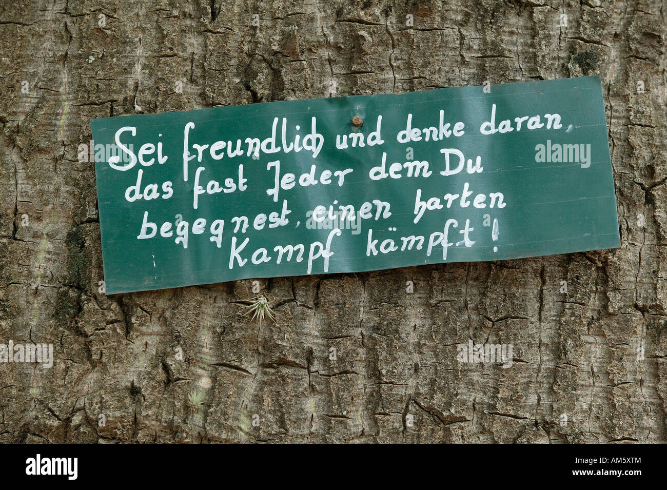 Sign with sayings on a tree in Filadelfia, city of the Mennonite ...