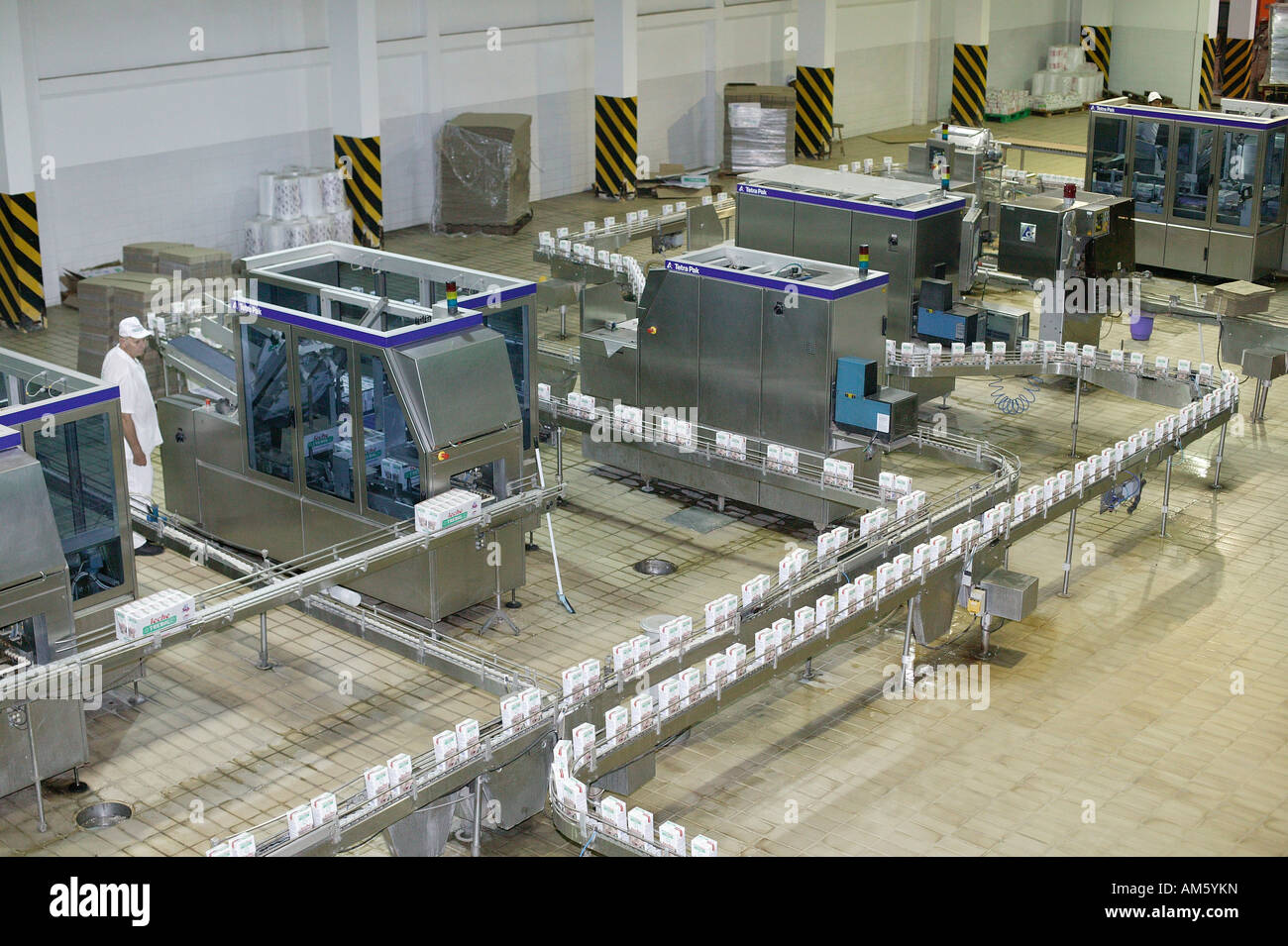 Modern packaging line in a dairy, milk in tetra pak, Loma Plata, Chaco ...
