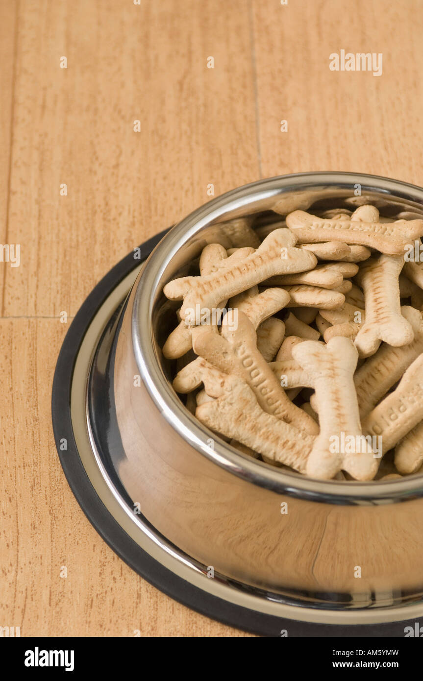 Biscuits for a dog hi-res stock photography and images - Alamy