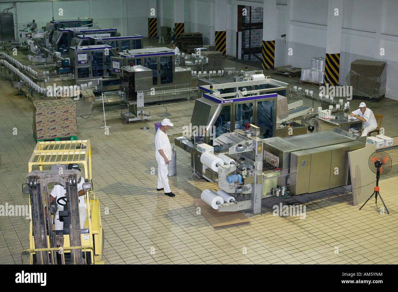 Modern packaging line in a dairy, milk in tetra pak, Loma Plata, Chaco ...