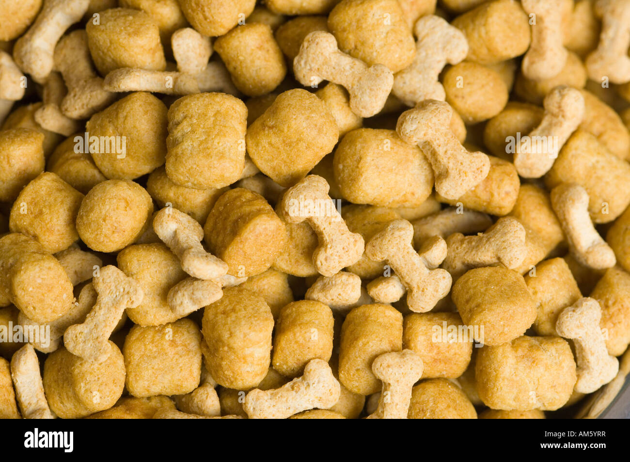 Close-up of dog food Stock Photo - Alamy