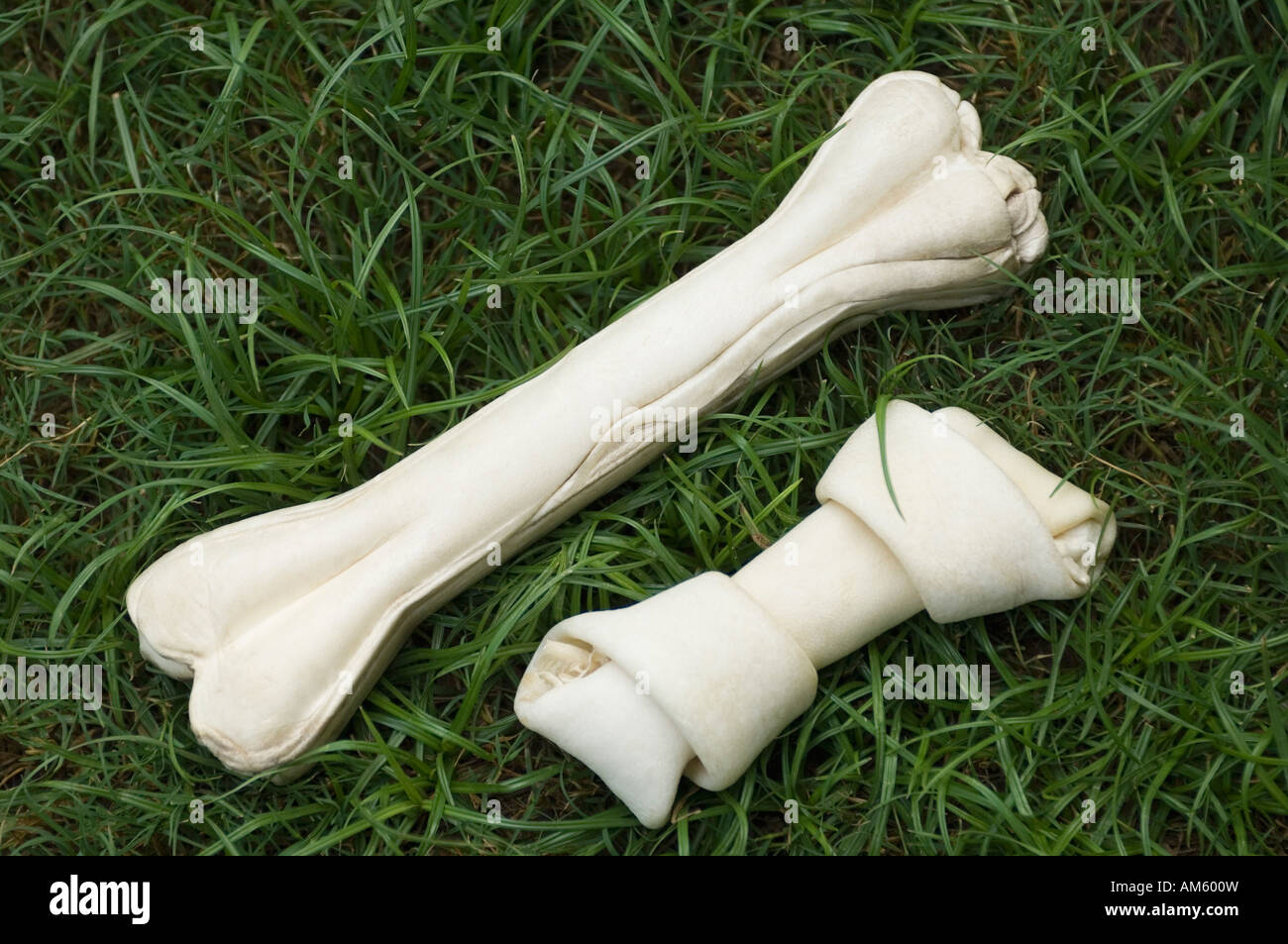 Two bones dog hi-res stock photography and images - Alamy
