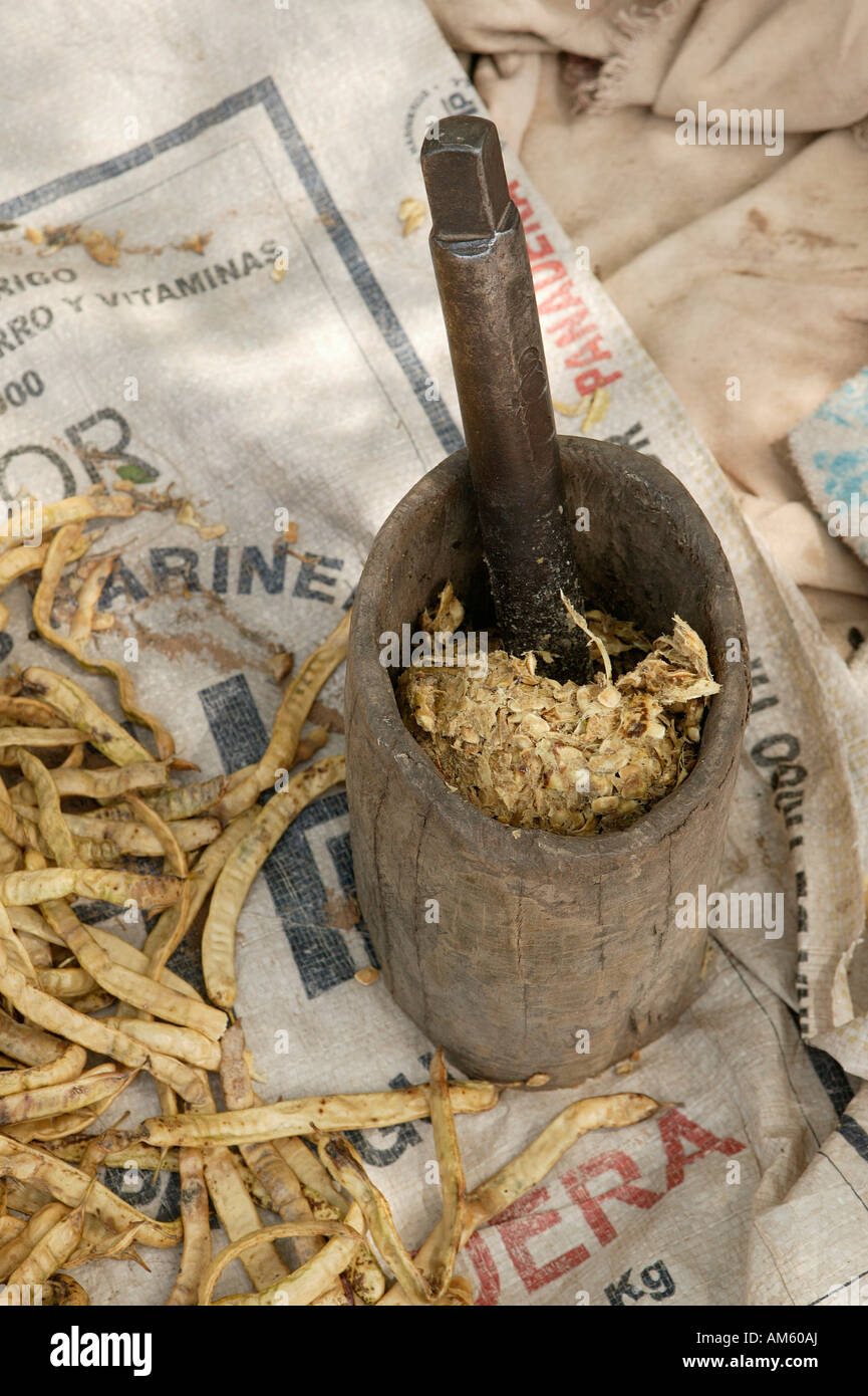 Mortar with smashed beans, Nivaclé native Americans, Jothoisha, Chaco ...